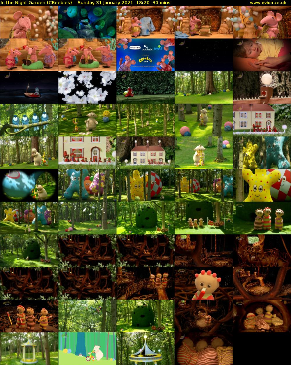 In the Night Garden (CBeebies) - 2021-01-31-1820