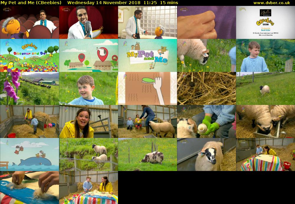 My Pet and Me (CBeebies) - 2018-11-14-1125
