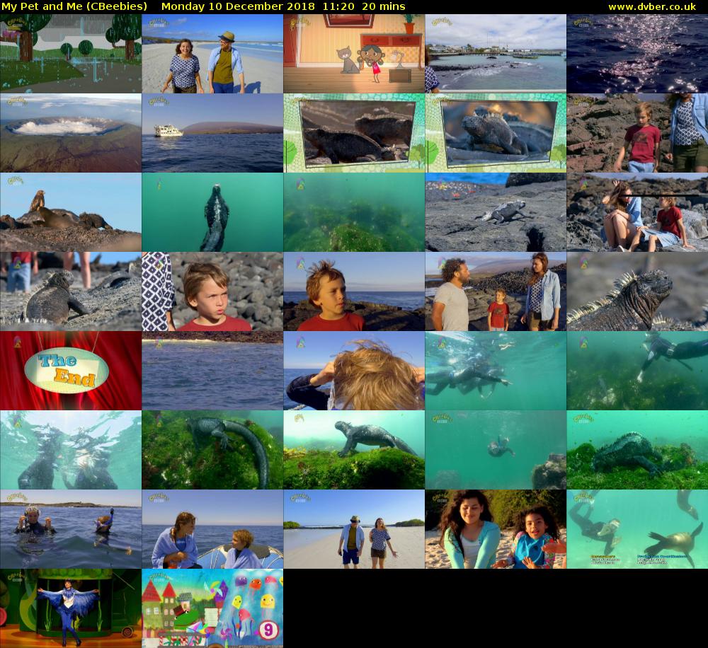 My Pet and Me (CBeebies) - 2018-12-10-1120