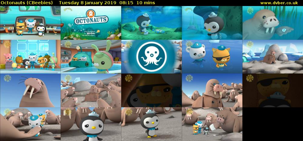 Octonauts (CBeebies) - 2019-01-08-0815