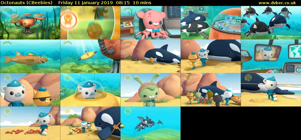 Octonauts (CBeebies) - 2019-01-11-0815