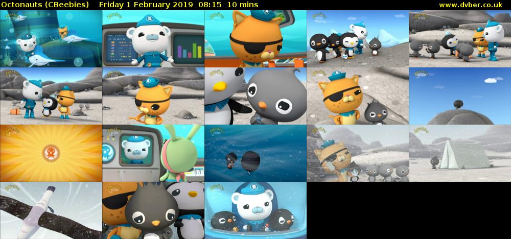 Octonauts (CBeebies) - 2019-02-01-0815