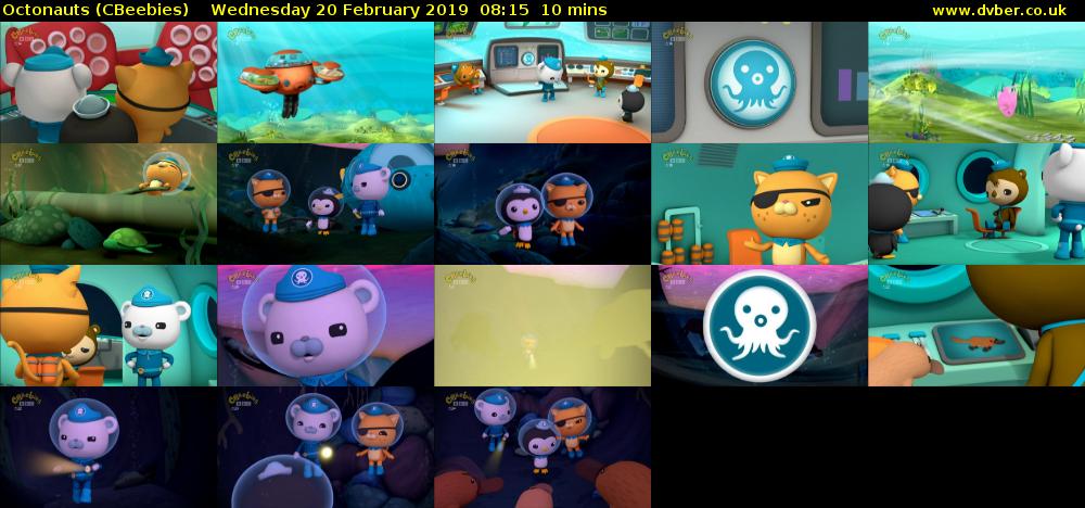 Octonauts (CBeebies) - 2019-02-20-0815