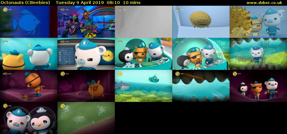Octonauts (CBeebies) - 2019-04-09-0810