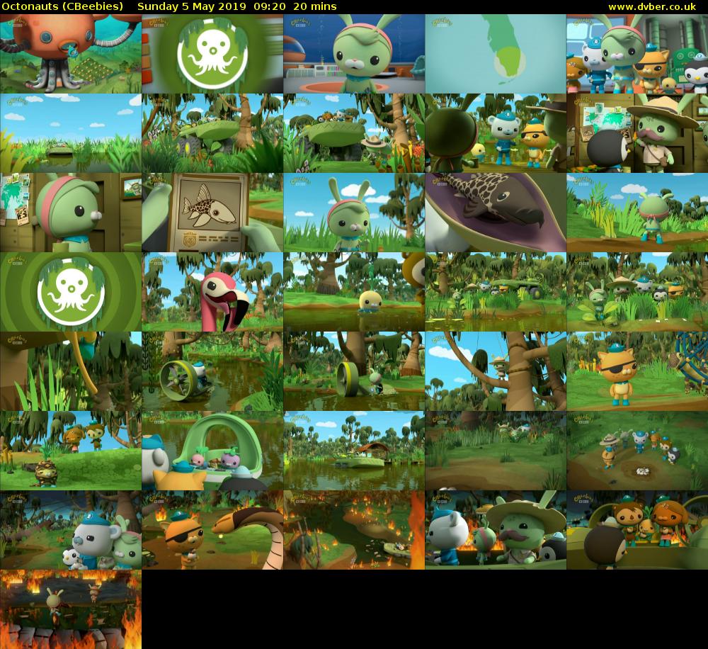 Octonauts (CBeebies) - 2019-05-05-0920