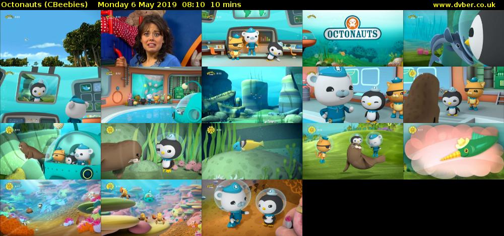 Octonauts (CBeebies) - 2019-05-06-0810