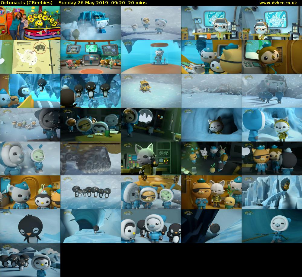 Octonauts (CBeebies) - 2019-05-26-0920