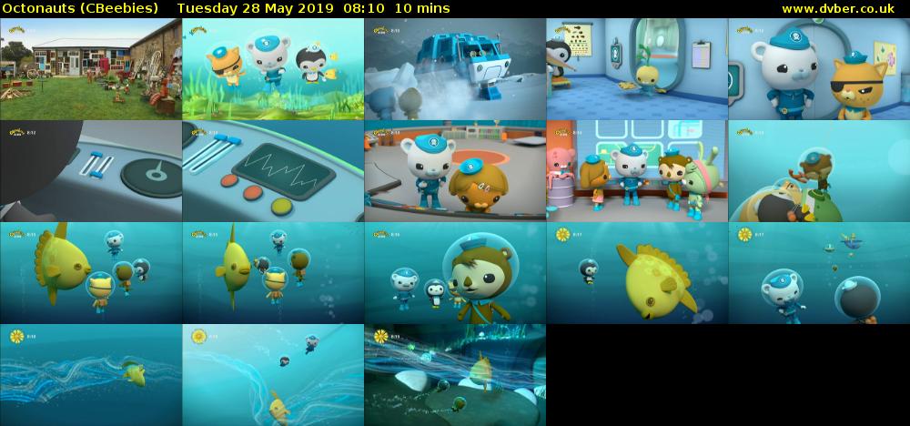 Octonauts (CBeebies) - 2019-05-28-0810