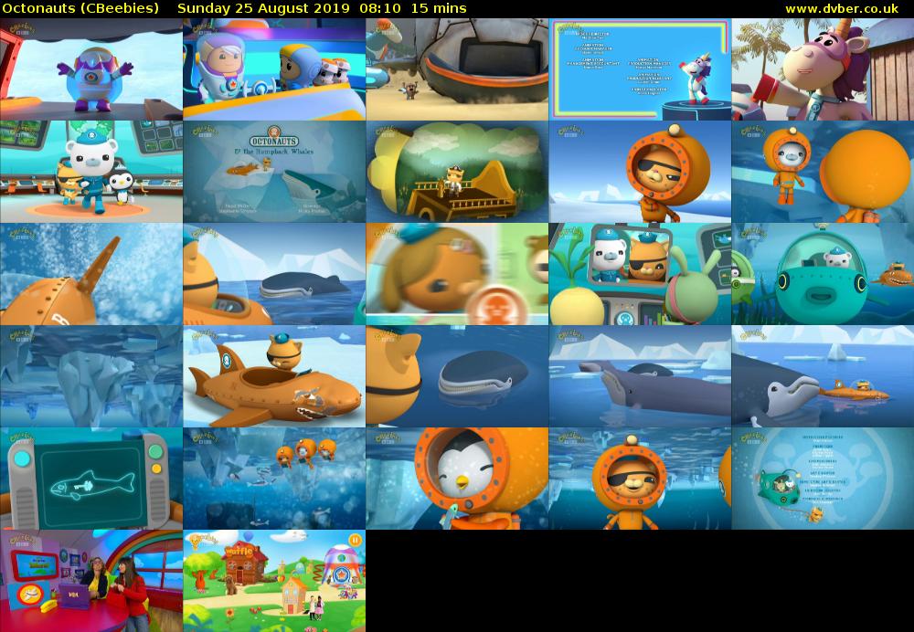 Octonauts (CBeebies) - 2019-08-25-0810