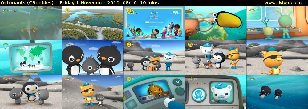 Octonauts (CBeebies) - 2019-11-01-0810