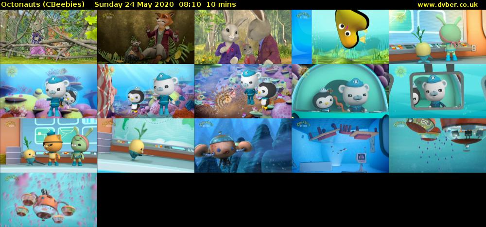 Octonauts (CBeebies) - 2020-05-24-0810
