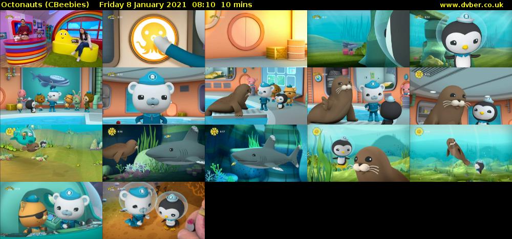 Octonauts (CBeebies) - 2021-01-08-0810