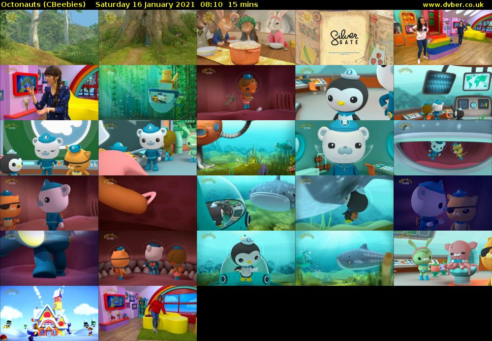 Octonauts (CBeebies) - 2021-01-16-0810