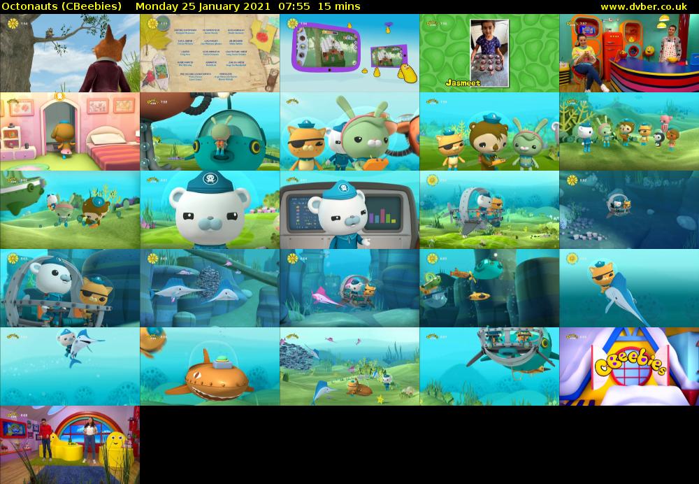 Octonauts (CBeebies) - 2021-01-25-0755