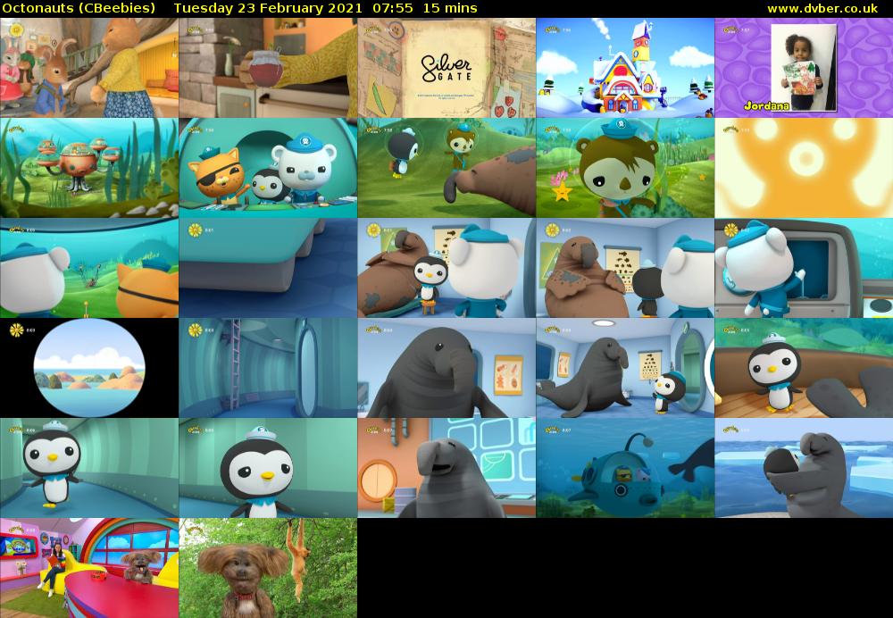 Octonauts (CBeebies) - 2021-02-23-0755