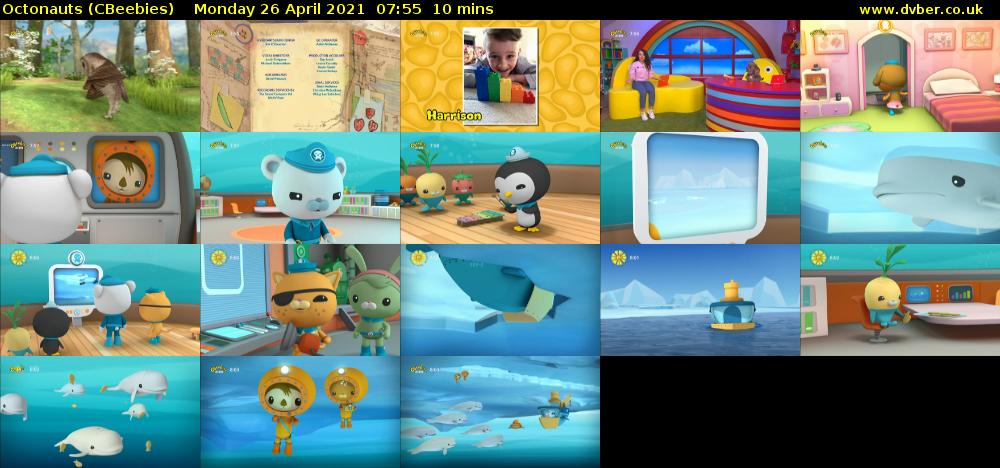Octonauts (CBeebies) - 2021-04-26-0755