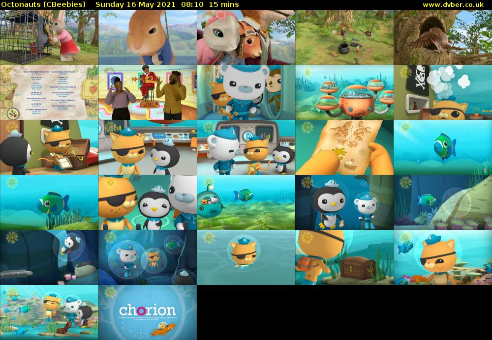 Octonauts (CBeebies) - 2021-05-16-0810