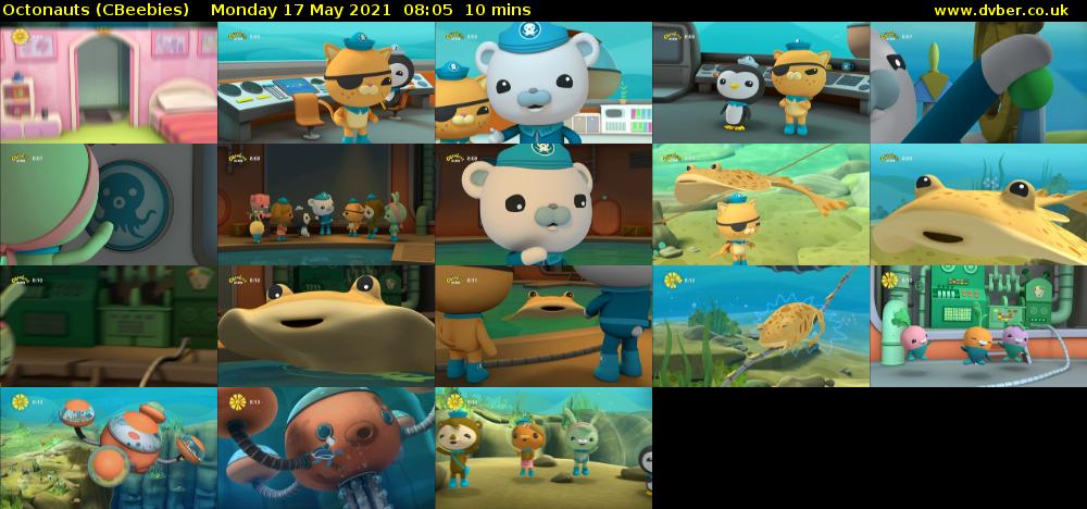 Octonauts (CBeebies) - 2021-05-17-0805