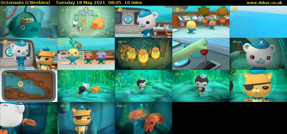Octonauts (CBeebies) - 2021-05-18-0805