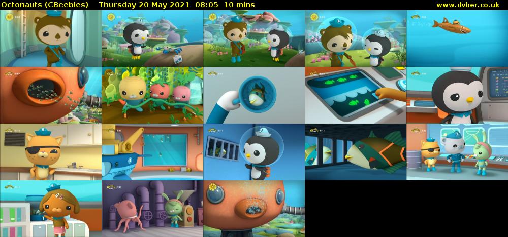Octonauts (CBeebies) - 2021-05-20-0805