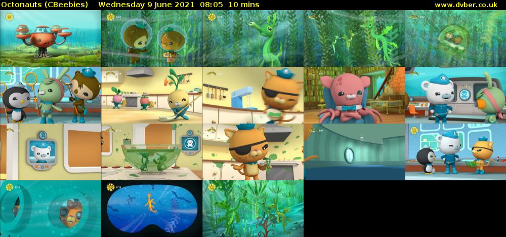 Octonauts (CBeebies) - 2021-06-09-0805