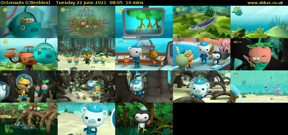 Octonauts (CBeebies) - 2021-06-22-0805