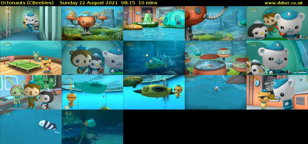 Octonauts (CBeebies) - 2021-08-22-0815