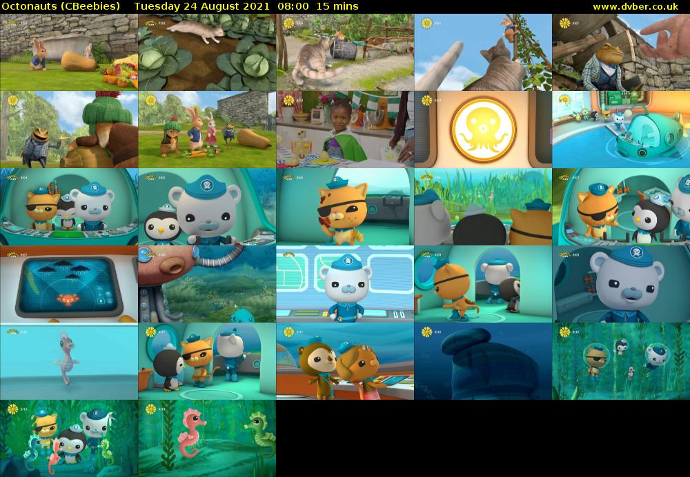 Octonauts (CBeebies) - 2021-08-24-0800
