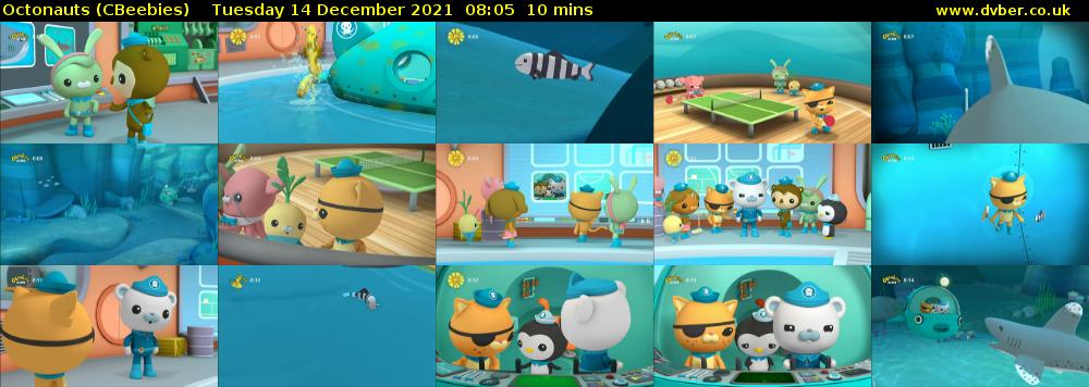 Octonauts (CBeebies) - 2021-12-14-0805