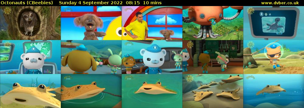 Octonauts (CBeebies) - 2022-09-04-0815