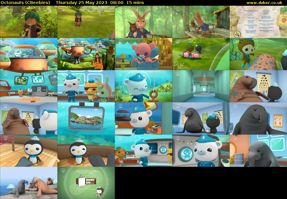 Octonauts (CBeebies) - 2023-05-25-0800