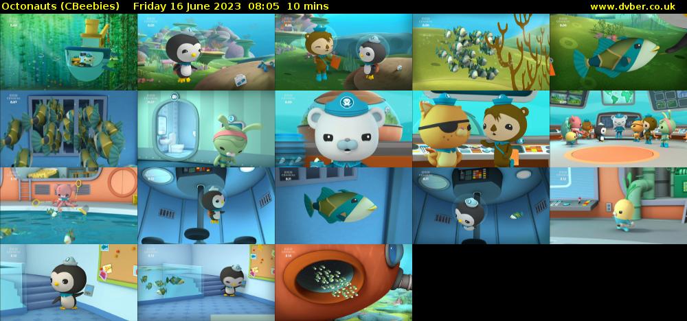 Octonauts (CBeebies) - 2023-06-16-0805