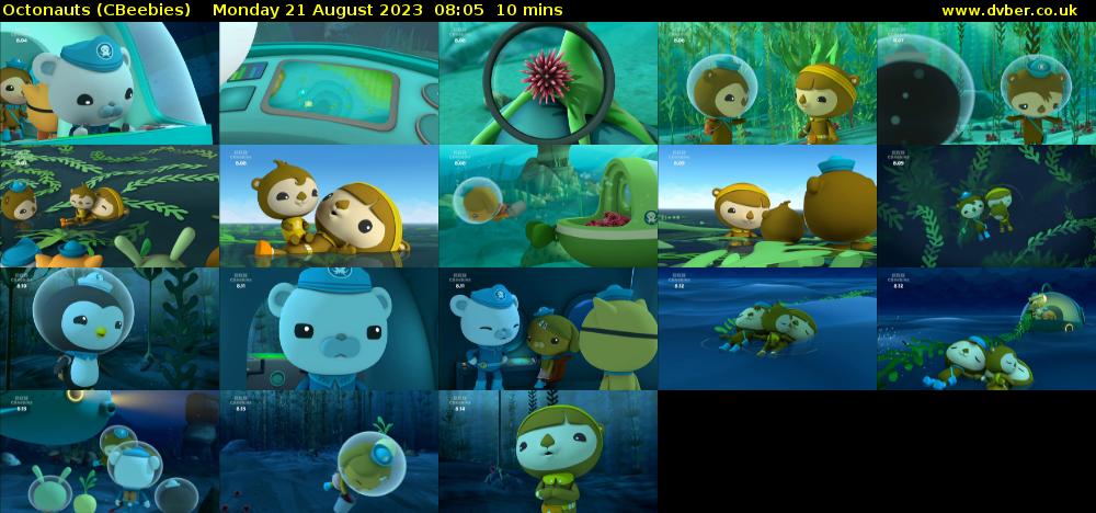 Octonauts (CBeebies) - 2023-08-21-0805