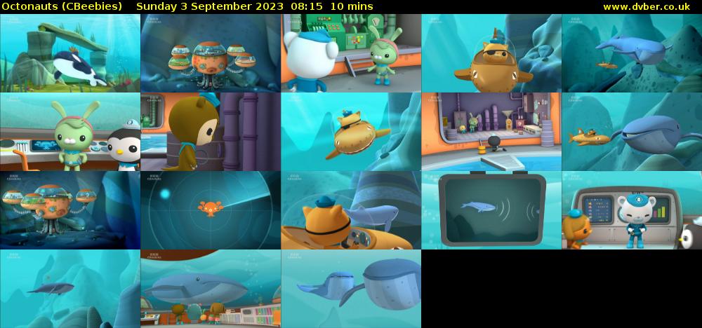 Octonauts (CBeebies) - 2023-09-03-0815