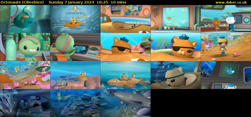 Octonauts (CBeebies) - 2024-01-07-1625