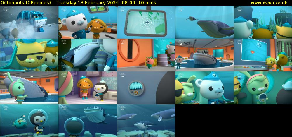 Octonauts (CBeebies) - 2024-02-13-0800