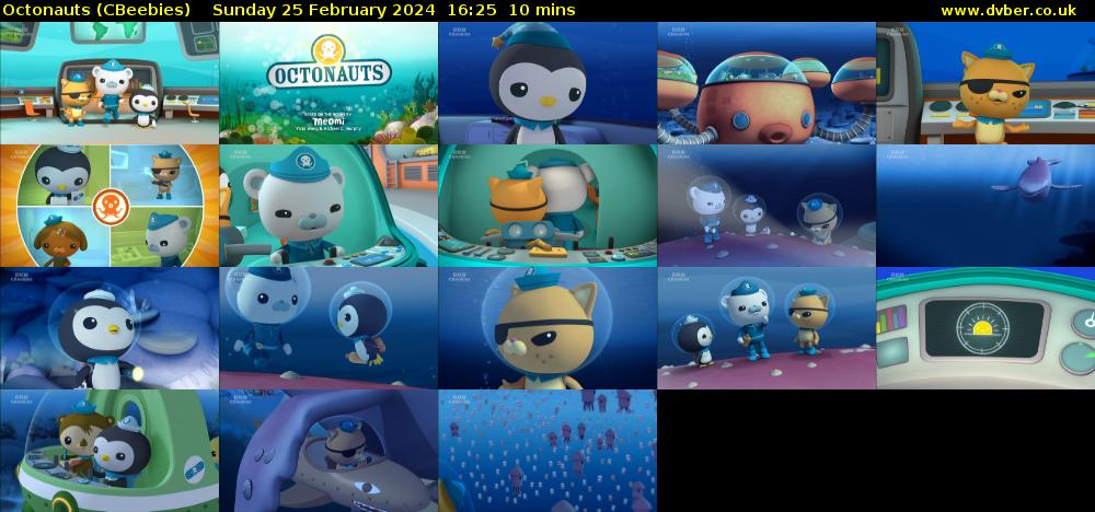 Octonauts (CBeebies) - 2024-02-25-1625