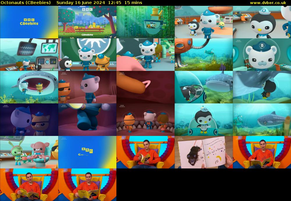 Octonauts (CBeebies) - 2024-06-16-1245