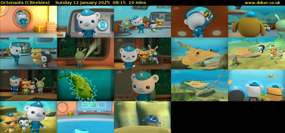 Octonauts (CBeebies) - 2025-01-12-0815