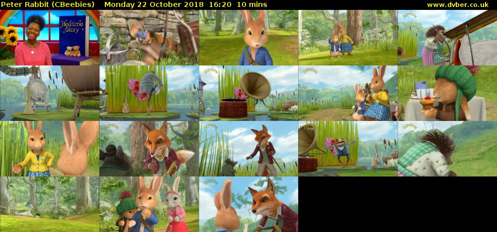 Peter Rabbit (CBeebies) - 2018-10-22-1620