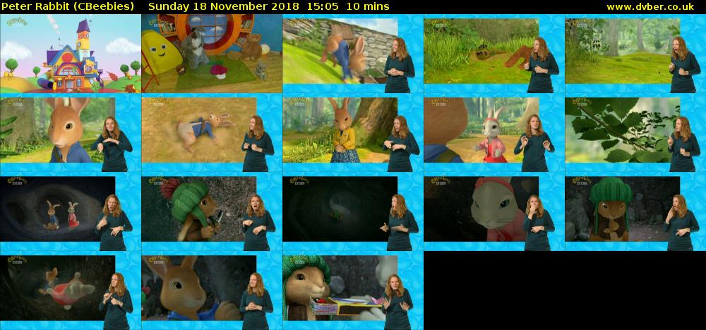 Peter Rabbit (CBeebies) - 2018-11-18-1505