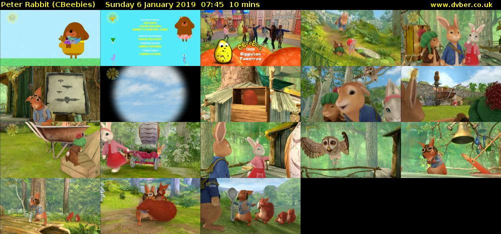 Peter Rabbit (CBeebies) - 2019-01-06-0745