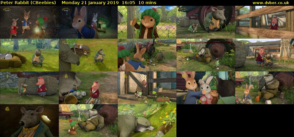 Peter Rabbit (CBeebies) - 2019-01-21-1605