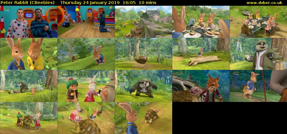 Peter Rabbit (CBeebies) - 2019-01-24-1605
