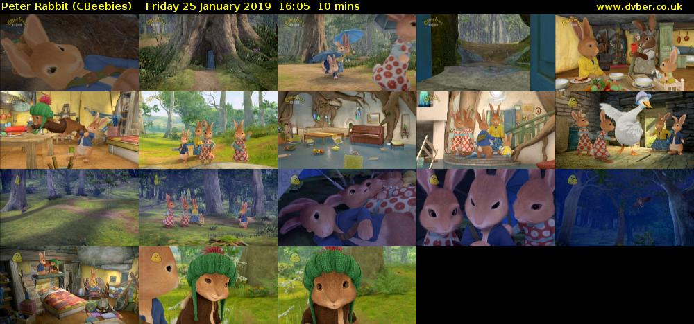 Peter Rabbit (CBeebies) - 2019-01-25-1605