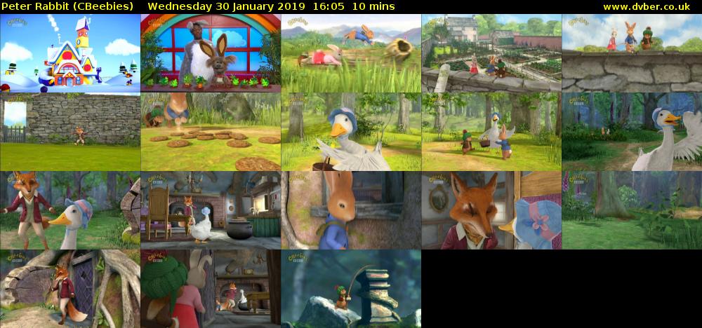 Peter Rabbit (CBeebies) - 2019-01-30-1605