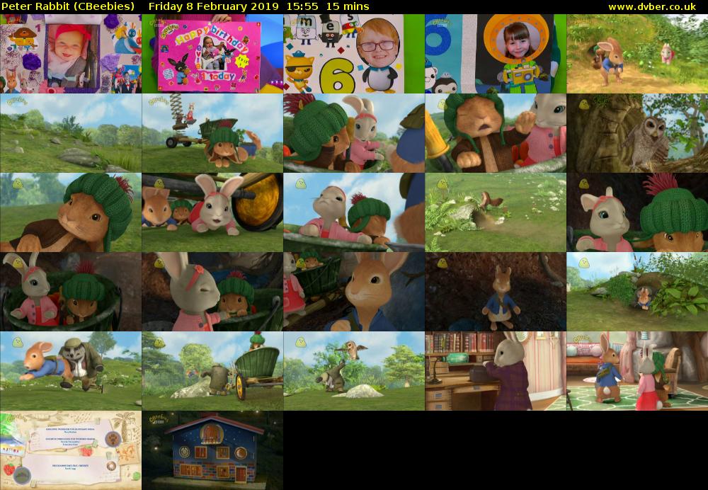 Peter Rabbit (CBeebies) - 2019-02-08-1555
