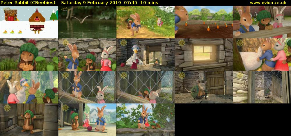 Peter Rabbit (CBeebies) - 2019-02-09-0745