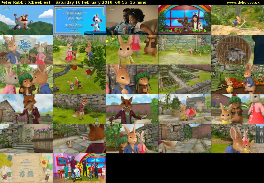 Peter Rabbit (CBeebies) - 2019-02-16-0955