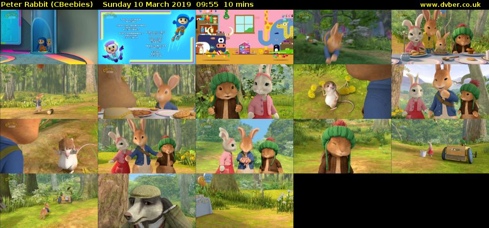 Peter Rabbit (CBeebies) - 2019-03-10-0955